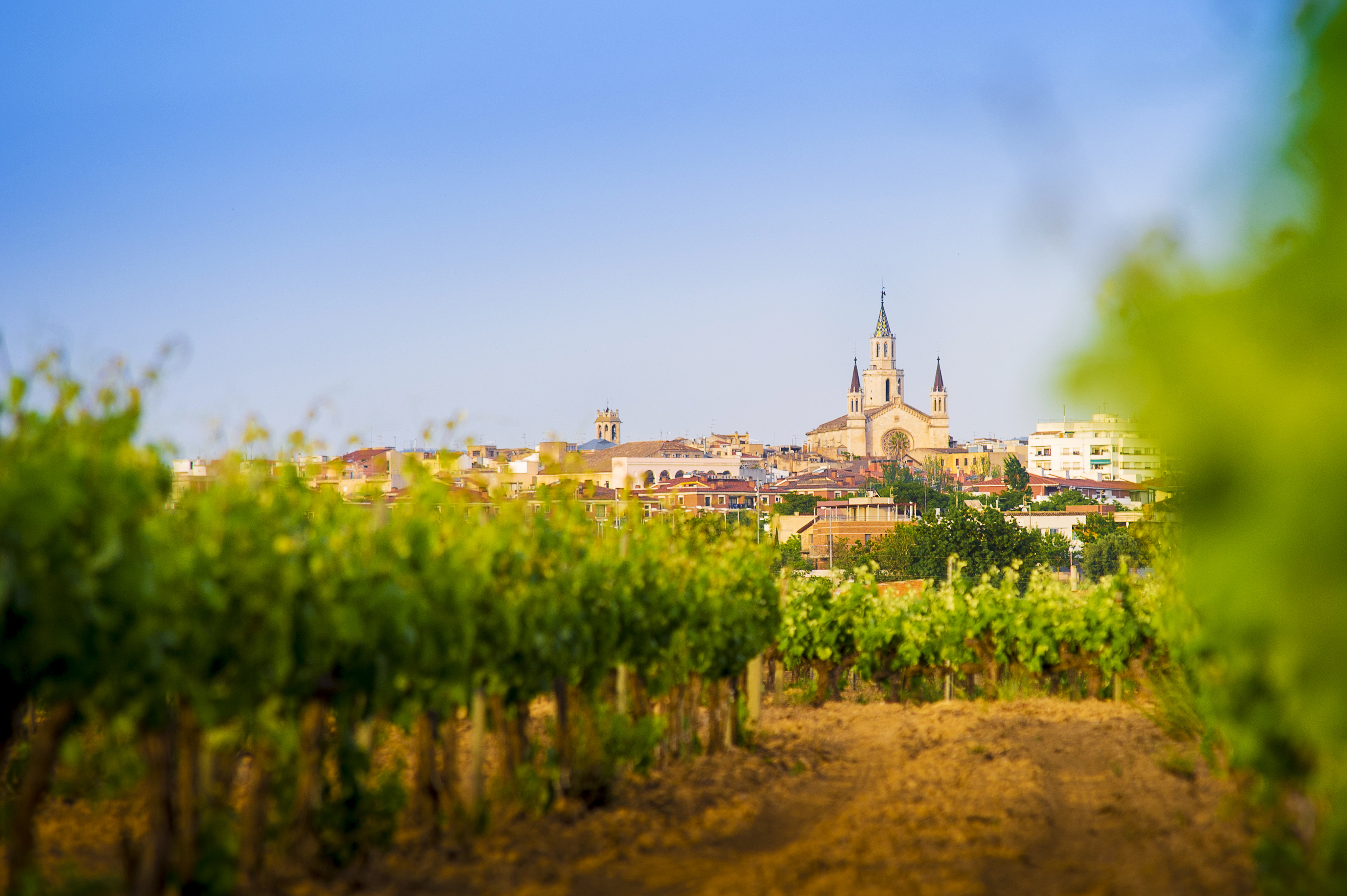 Vilafranca del Penedès - ACEVIN - Asociación Española de Ciudades del Vino